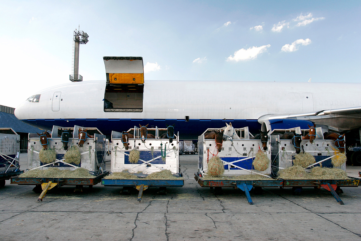 New innovation opportunities for high-value cargo transport | Yocova